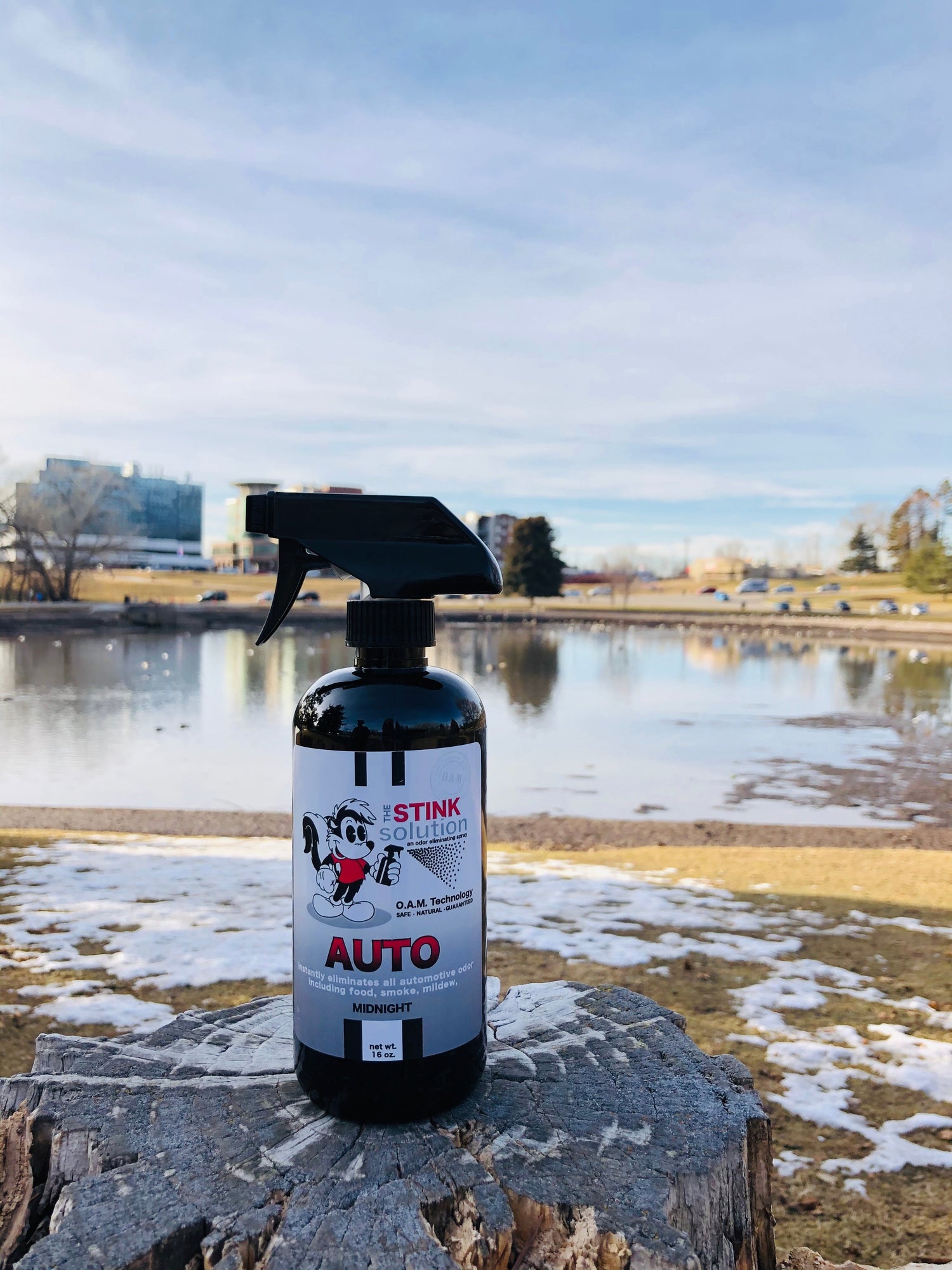 The Science of Stink: Why Cars Hold Onto Odors and How to Beat Them ...